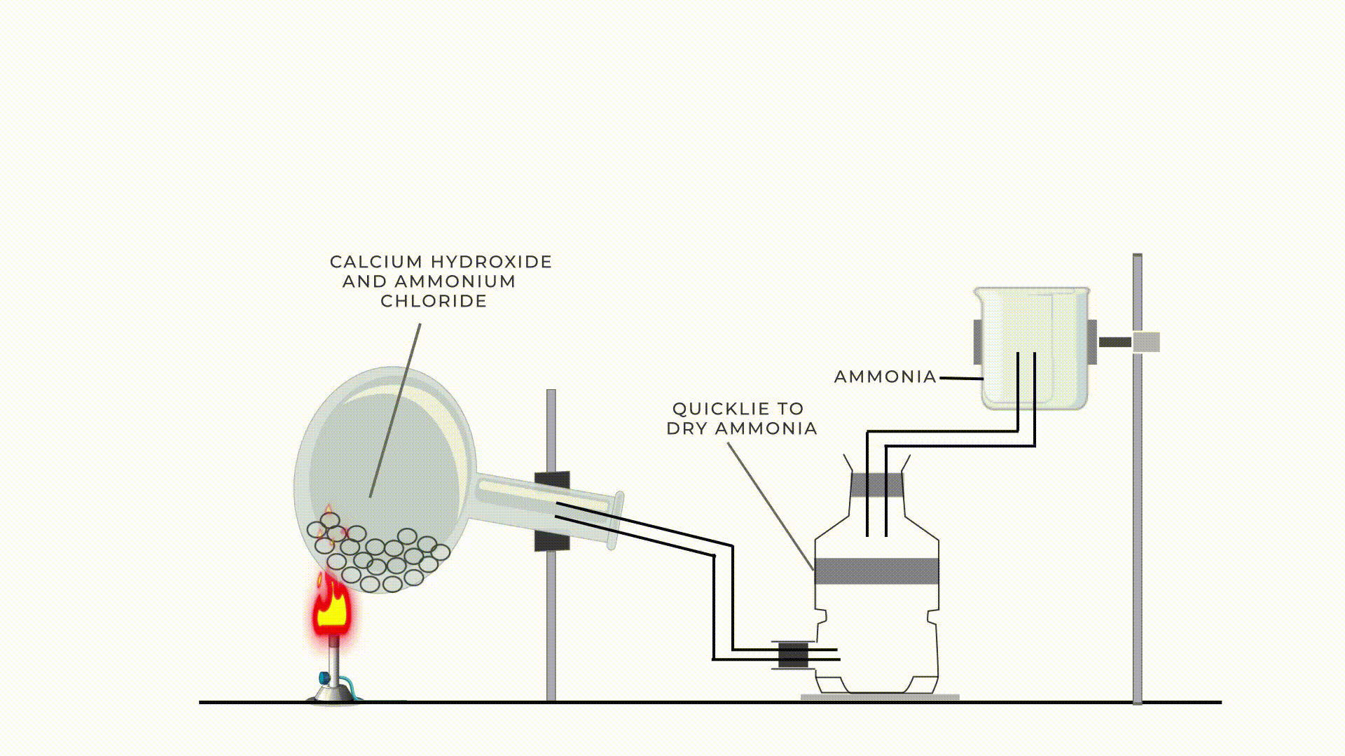 Icse Chemistry Laboratory Preparation Of Ammonia Gas SOLUTION: